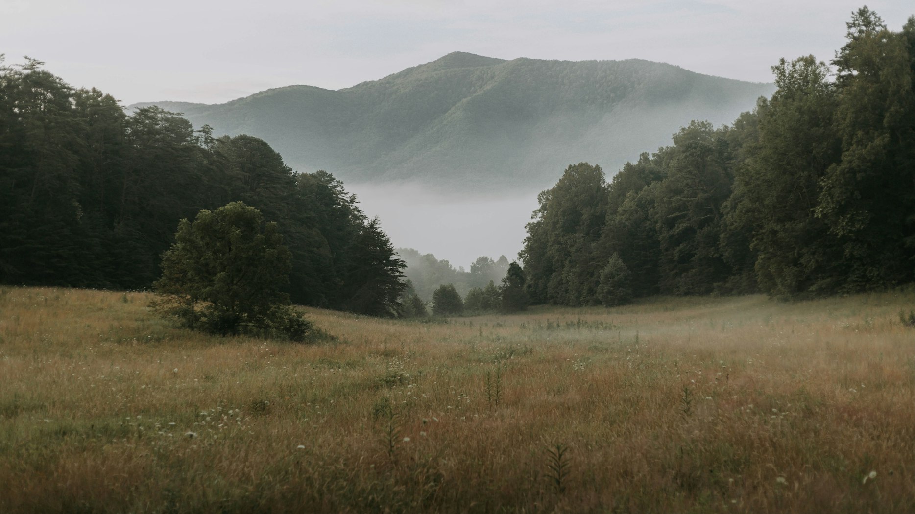 Adjusting to Life in the Country | Desiring God
