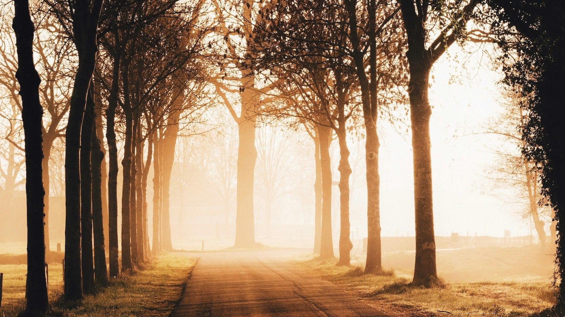 Be Thou My Vision: The Prayer of Every Christian | Desiring God