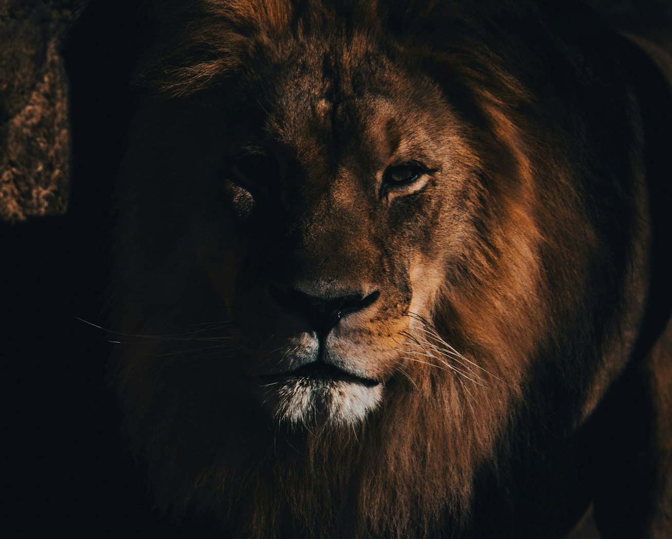 Christ Is King: A Warning to God’s Foes | Desiring God