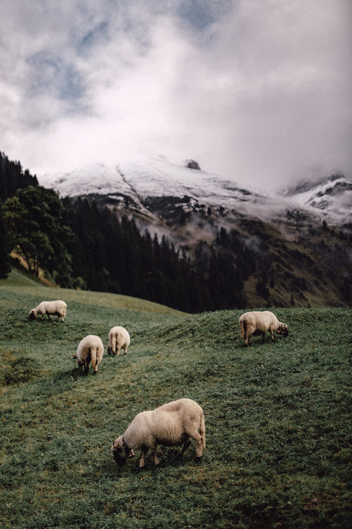 Christ’s Plan for the Globe — and You | Desiring God