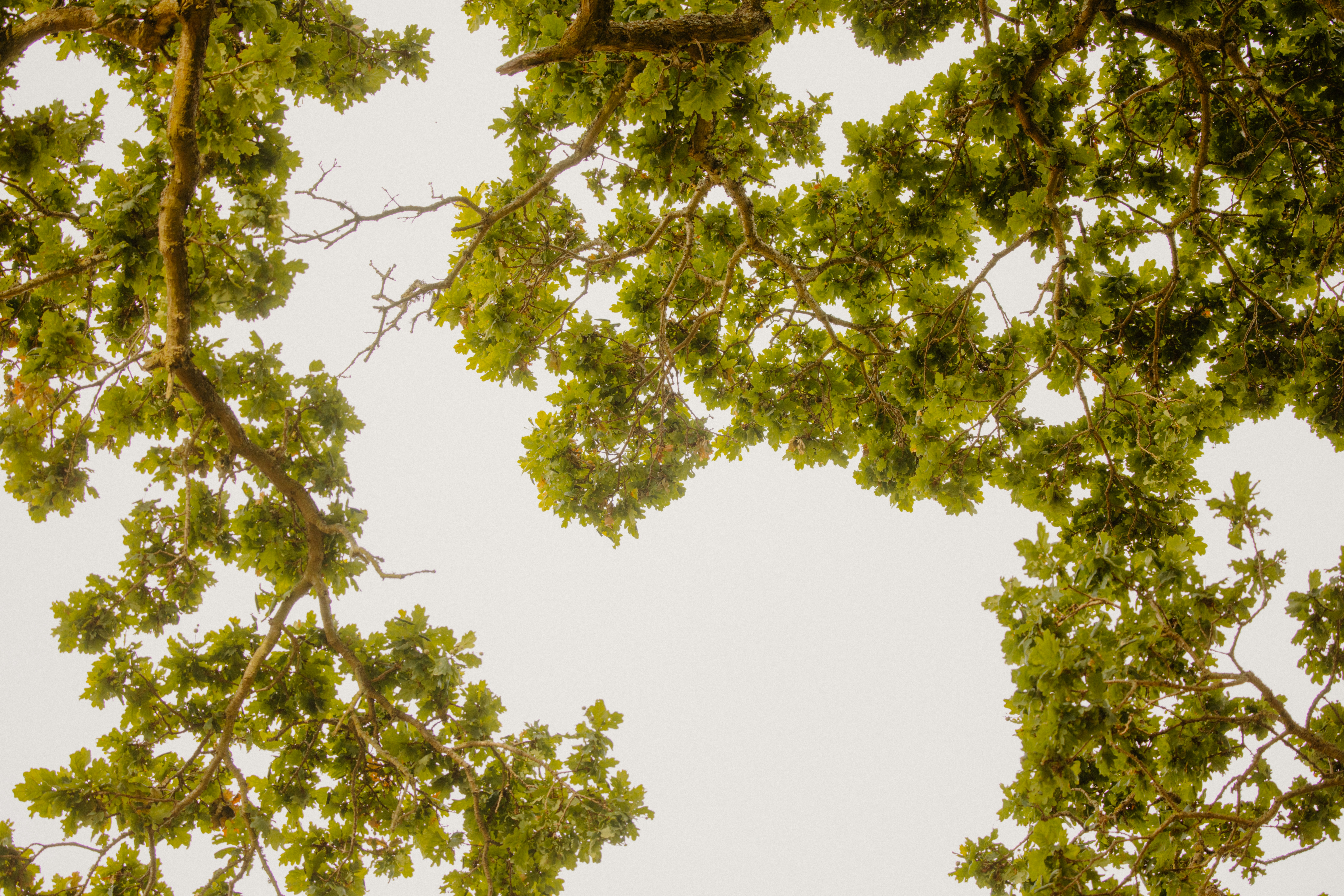 ‘Come and See More of Me’: Jesus’s Daily Invitation to Delight ...