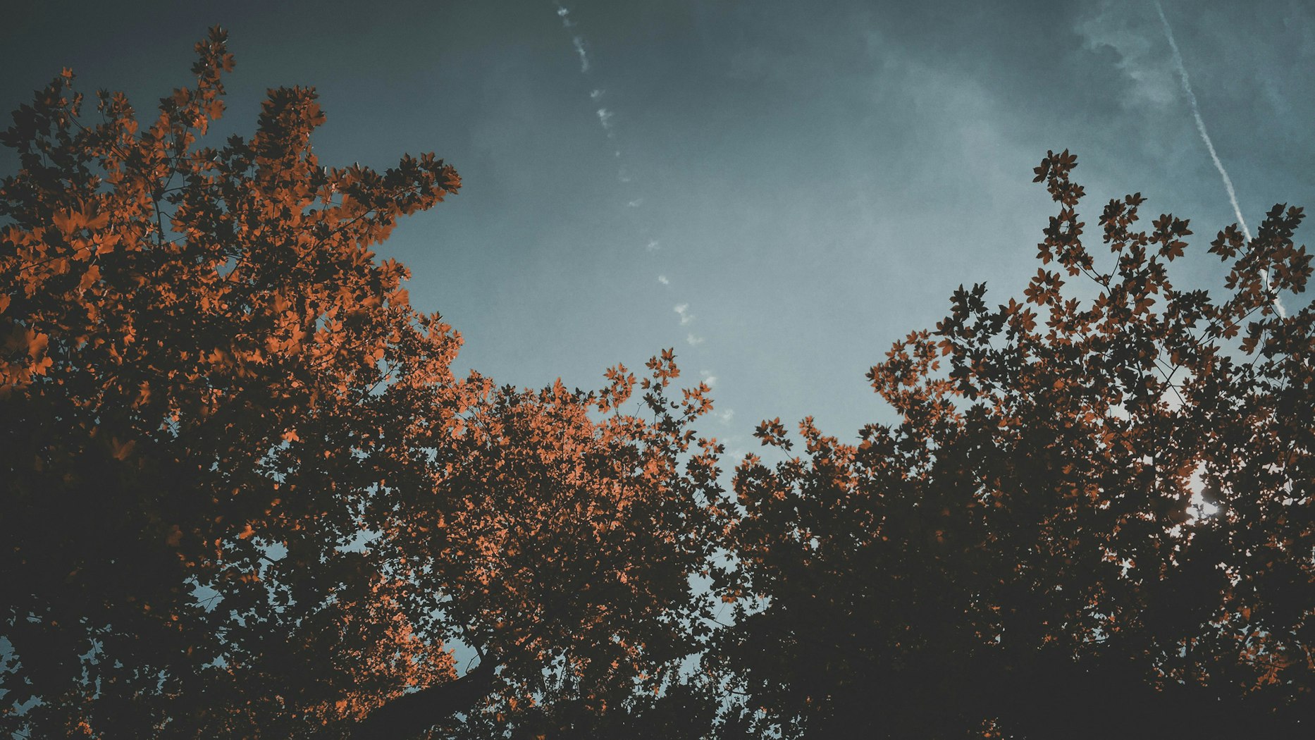 When a Loved One Goes Home to Jesus | Desiring God