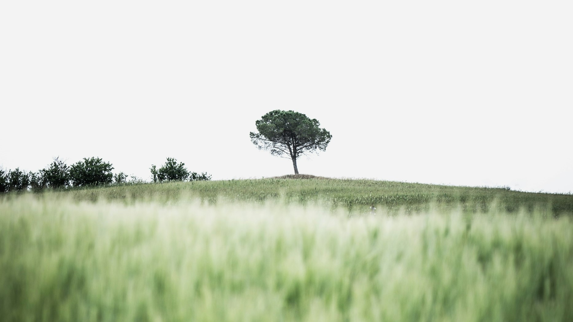 Devote Yourself to Faithfulness: How to Cultivate a Quiet Virtue ...