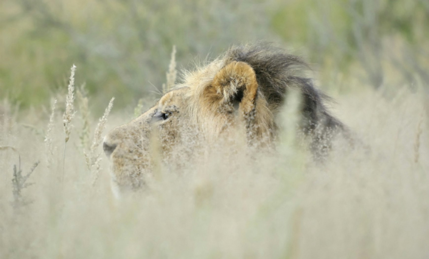 Do Not Underestimate a Defeated Devil | Desiring God