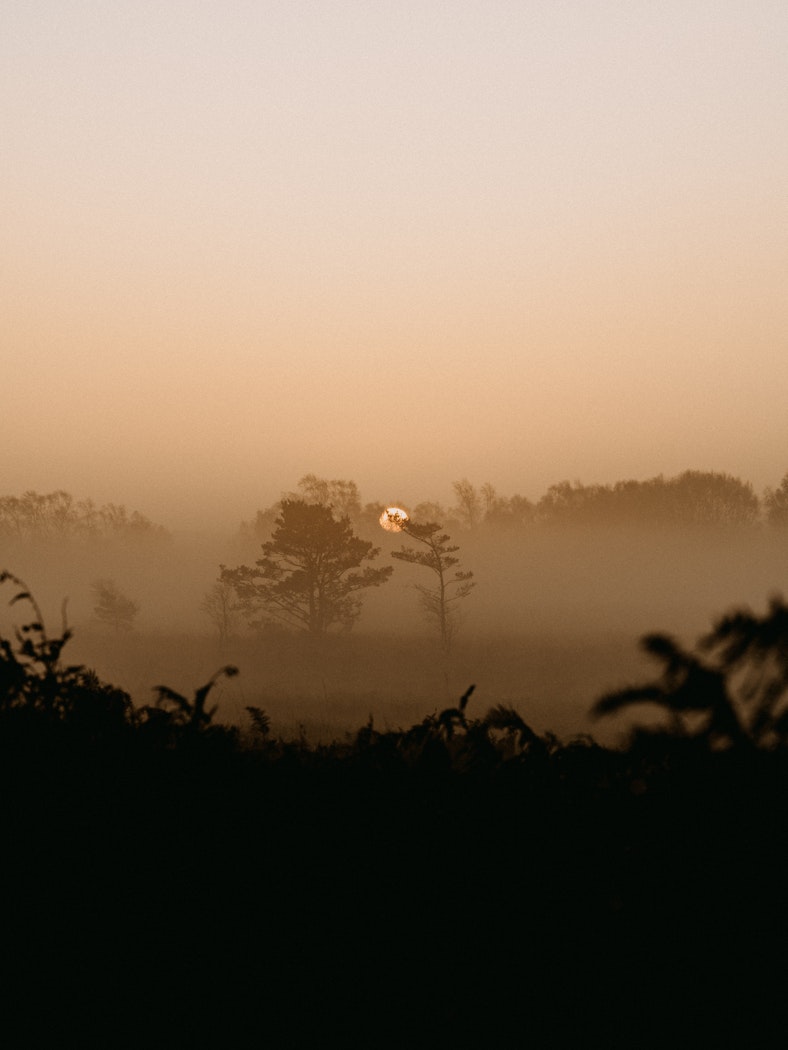 Does God Send ‘Strong Delusions’ into the World? | Desiring God