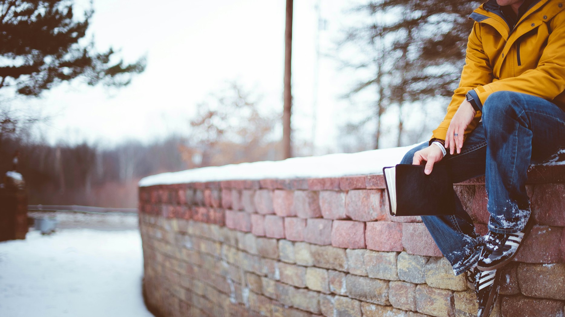 Five Promises for Your Bible Reading and Prayer | Desiring God