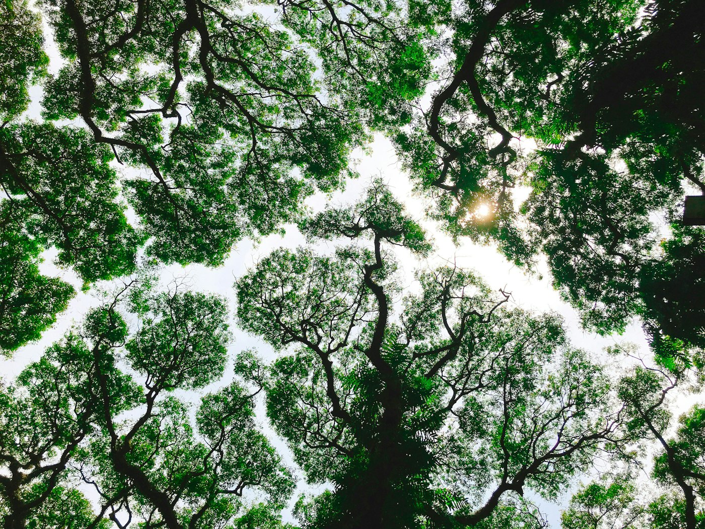 God’s Beloved Sun: Enjoying His Pleasure in Creation | Desiring God