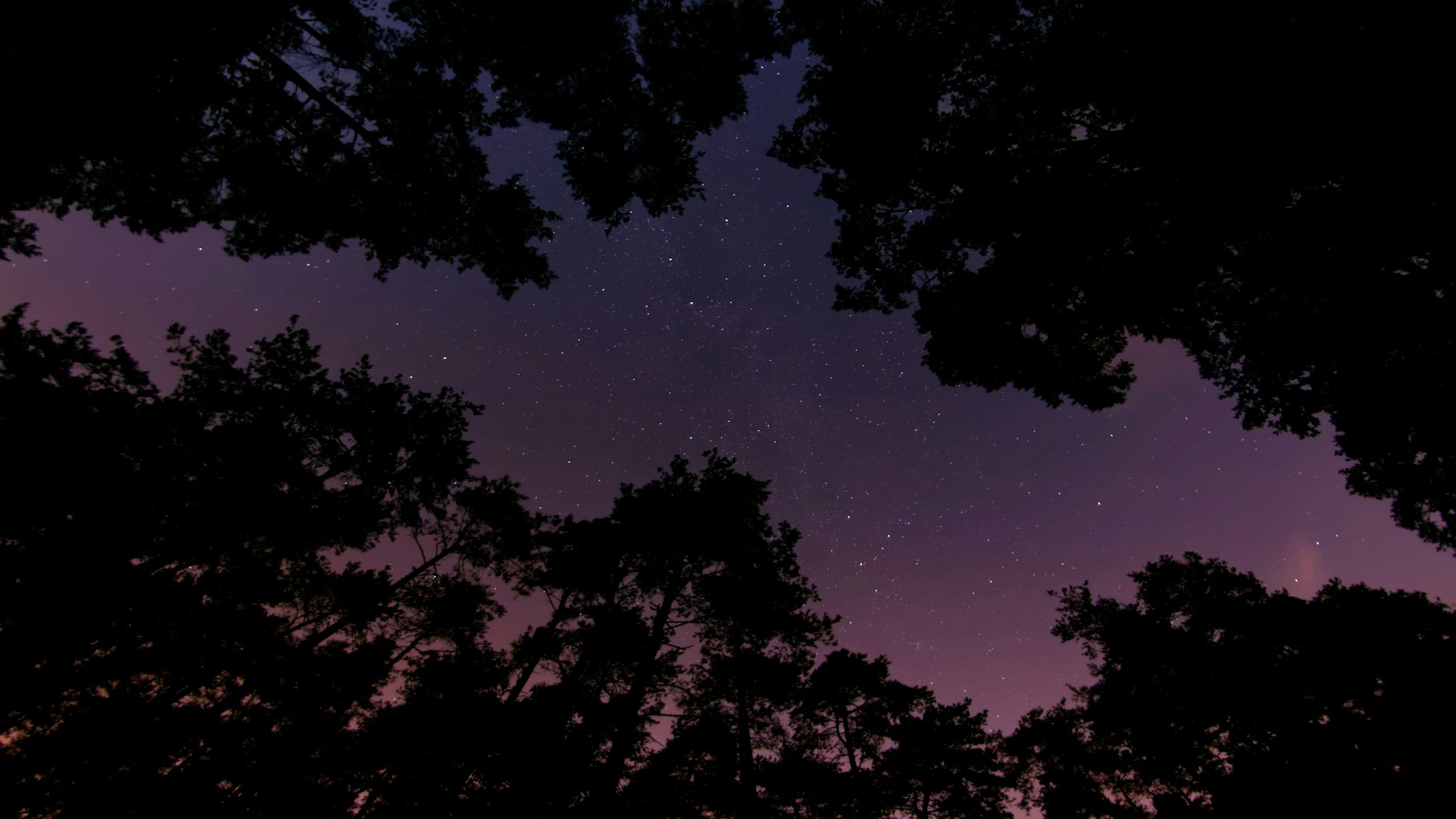 God Stoops to Speak to Us | Desiring God