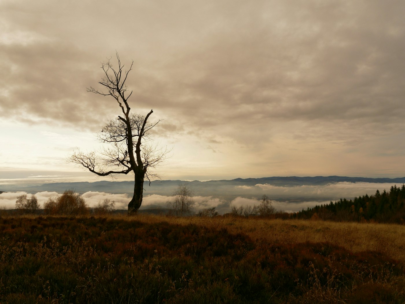 Good Friday for Bad People | Desiring God