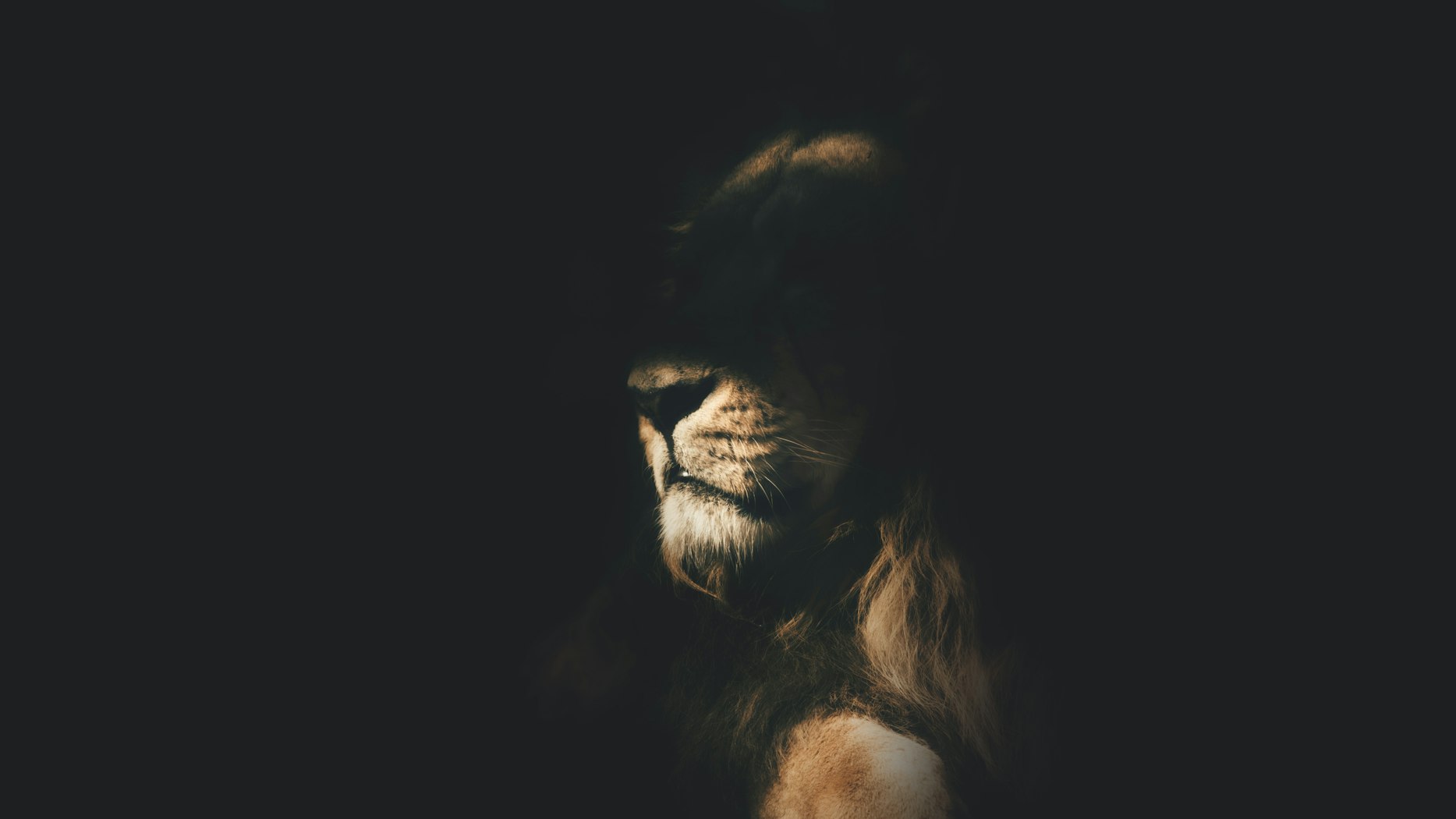 Grace Has Taught Our Hearts to Fear | Desiring God