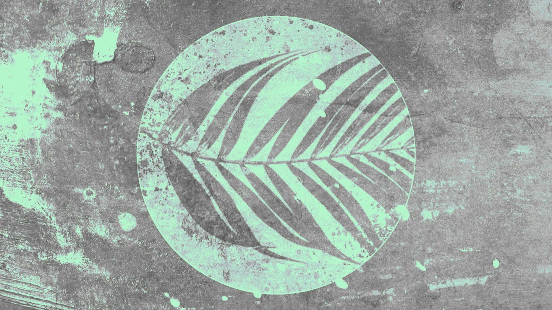 He Wept as They Welcomed Him: The Hope and Sorrow of Palm Sunday ...