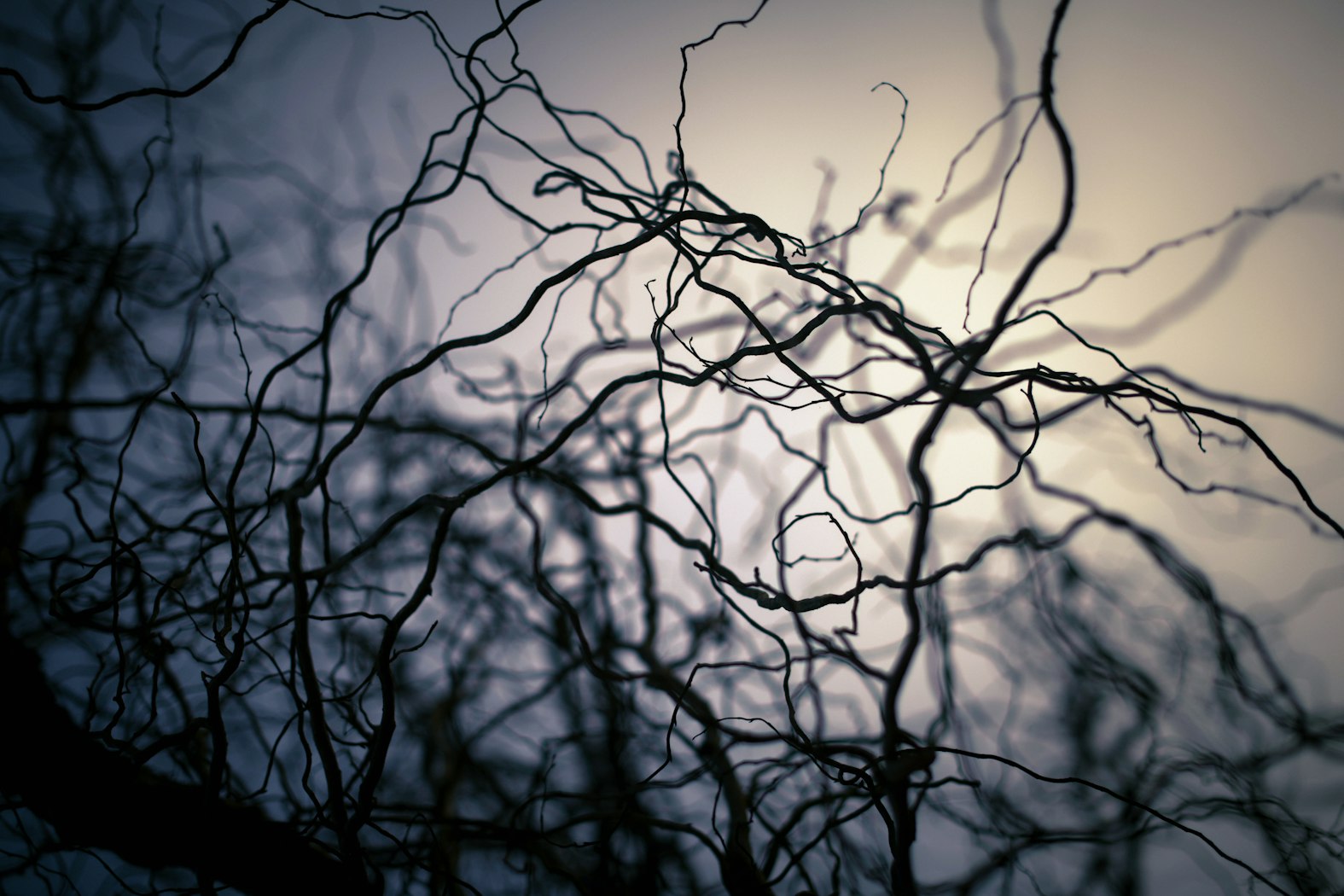 Hell Should Unsettle Christians: Embracing the Most Emotionally ...