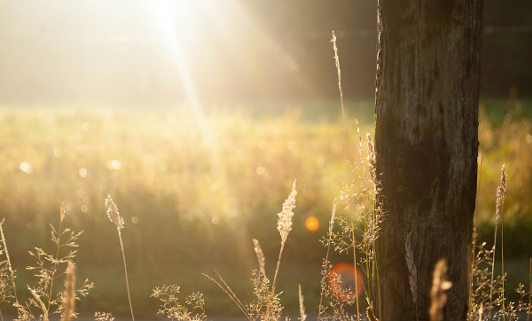 Help Me Face Today | Desiring God