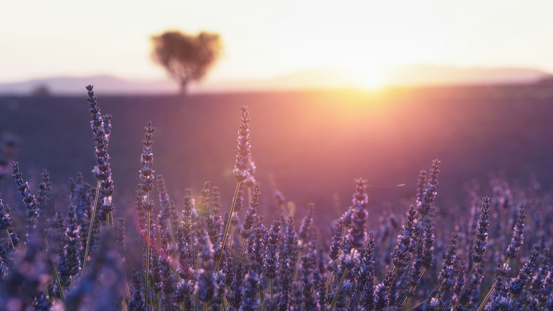 How Can God Forget My Sins? What We Remember at the Table | Desiring God