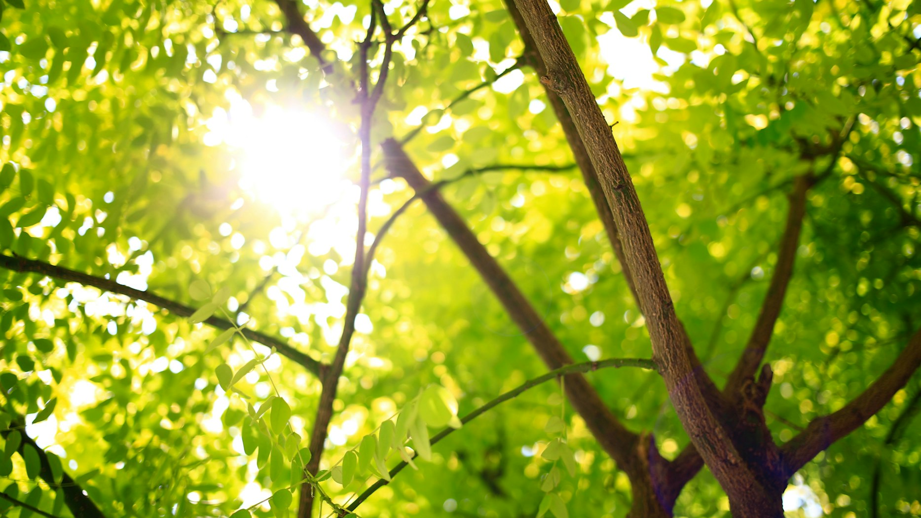 How Do I Go Deeper with Christ? | Desiring God