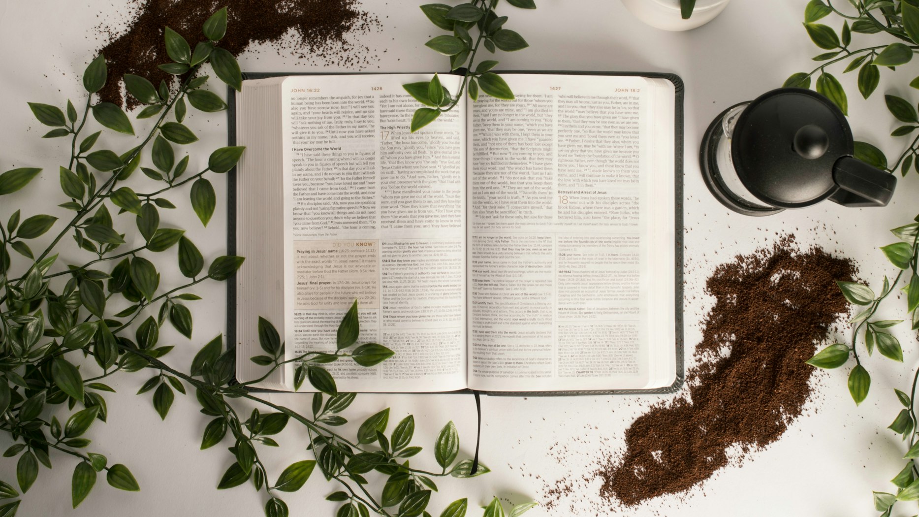How Has Social Media Changed Bible Reading? | Desiring God