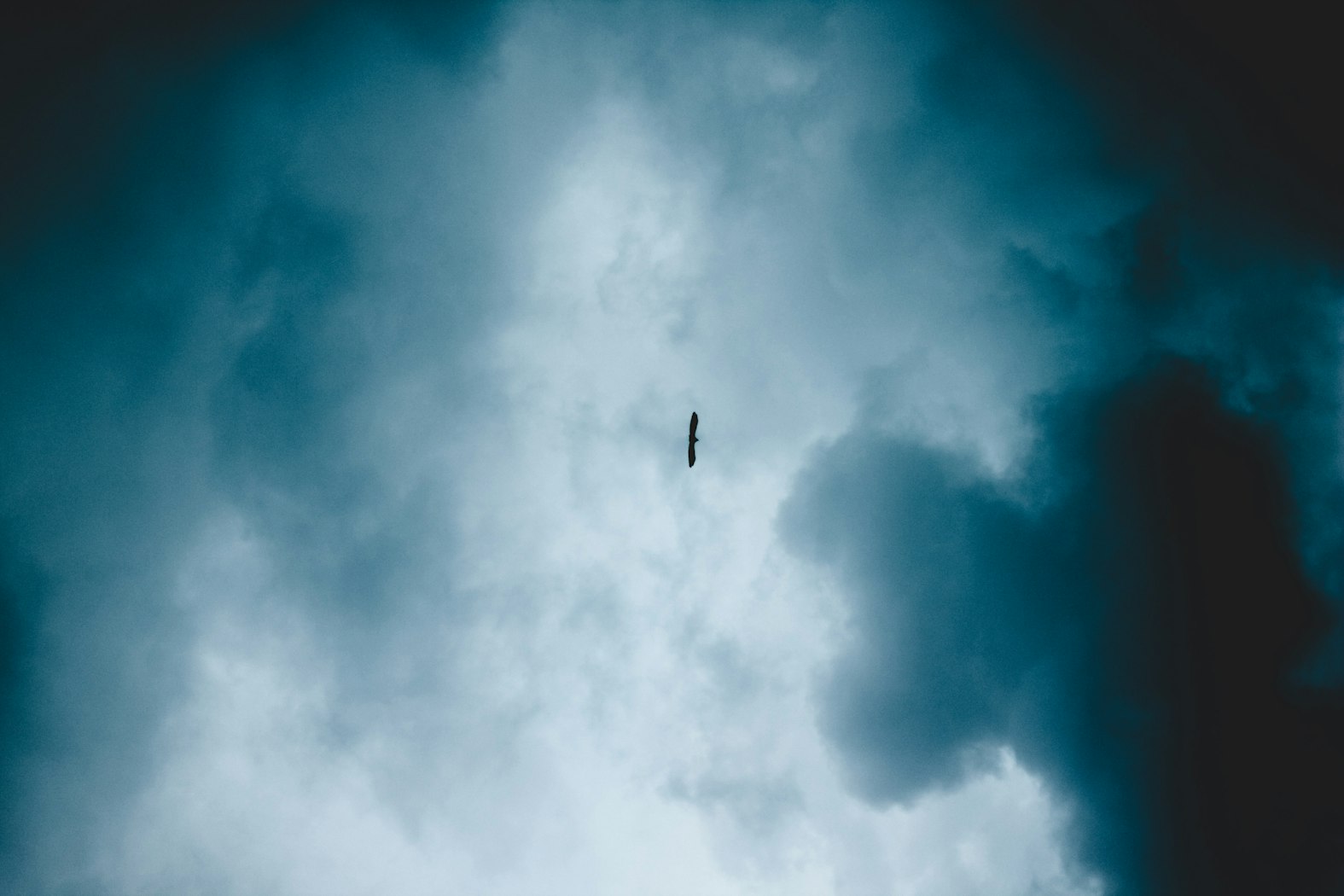 Invisible and Unmistakable: How Scripture Pictures the Holy Spirit ...