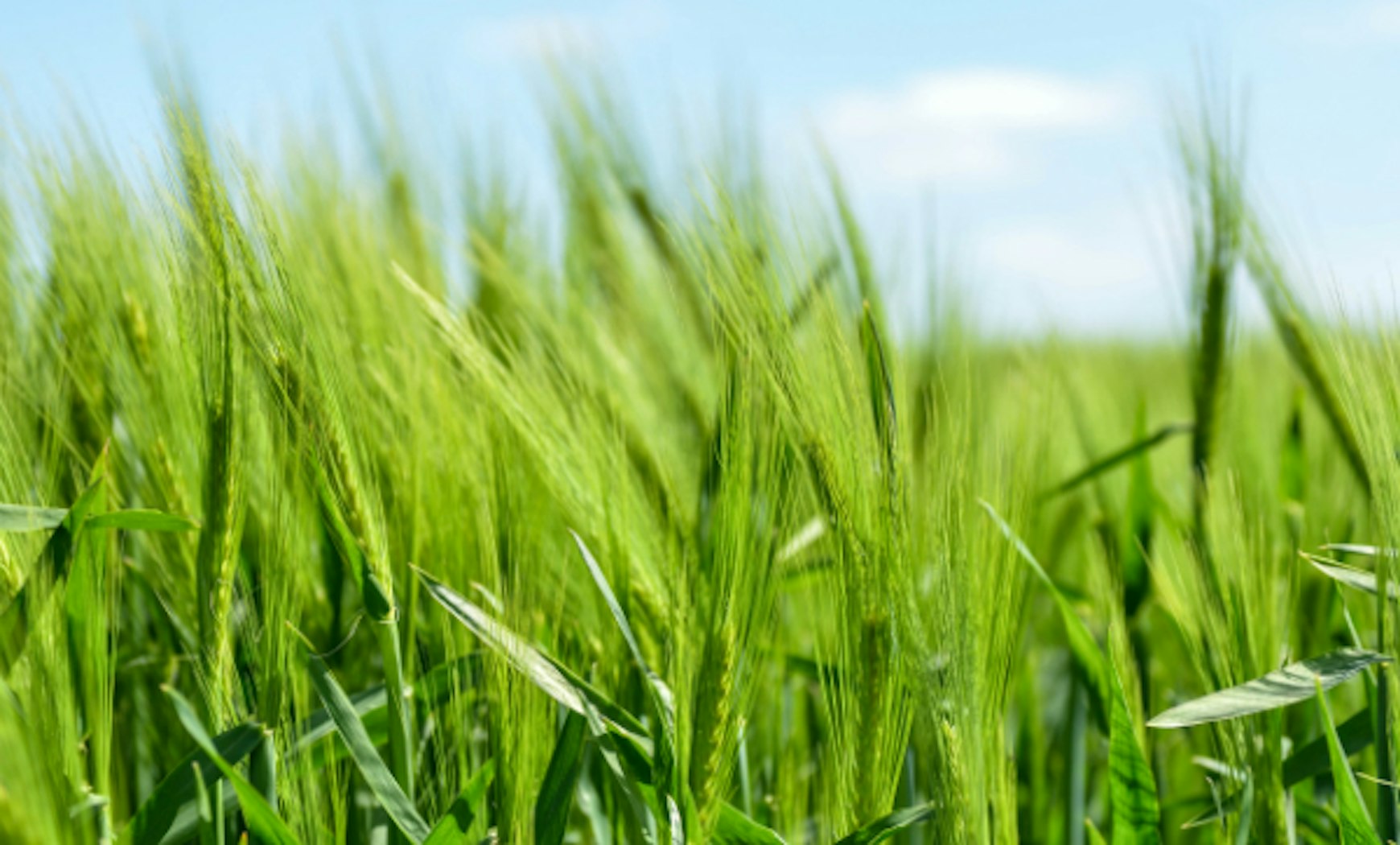 Is Your Joy Real or an Imposter? | Desiring God