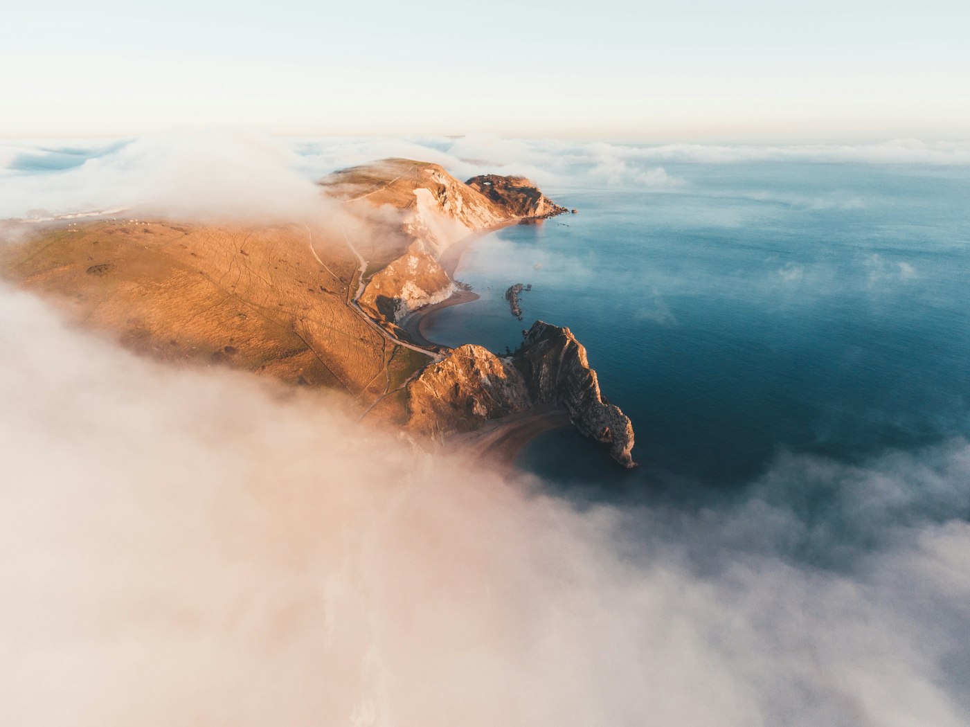 Jesus Shall Reign: The Remarkable Story of the First Missionary Hymn ...