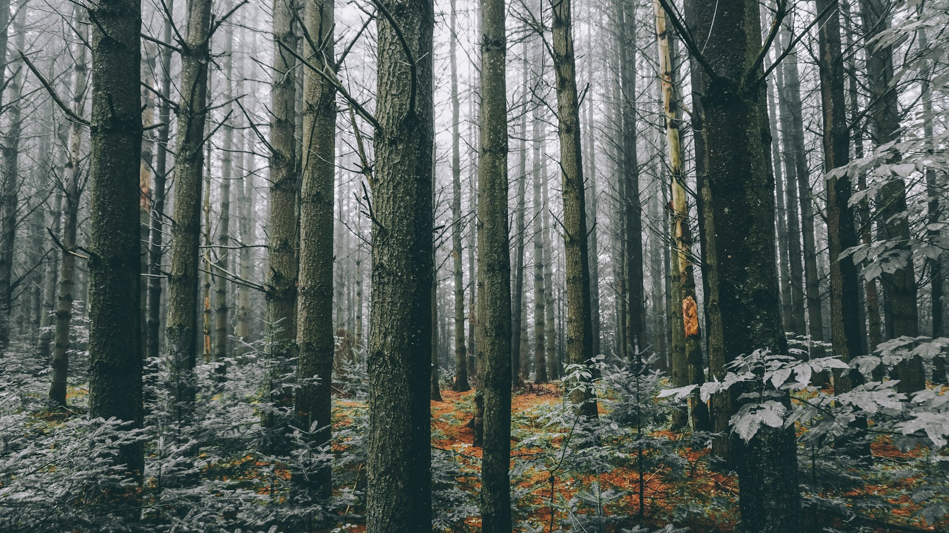 Judge Not, That You May Judge Well | Desiring God