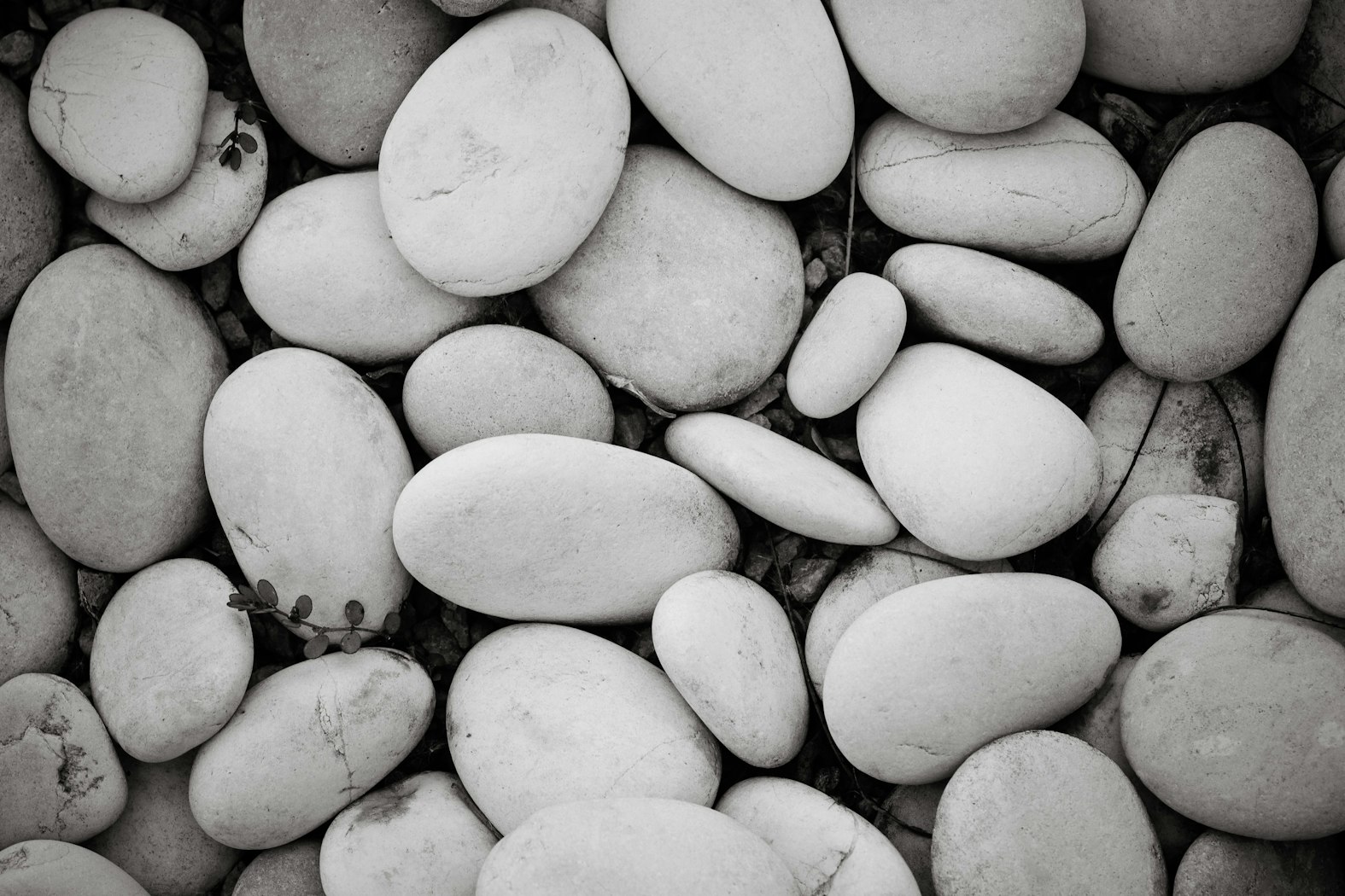 Labor to Give (or Take) No Offense | Desiring God