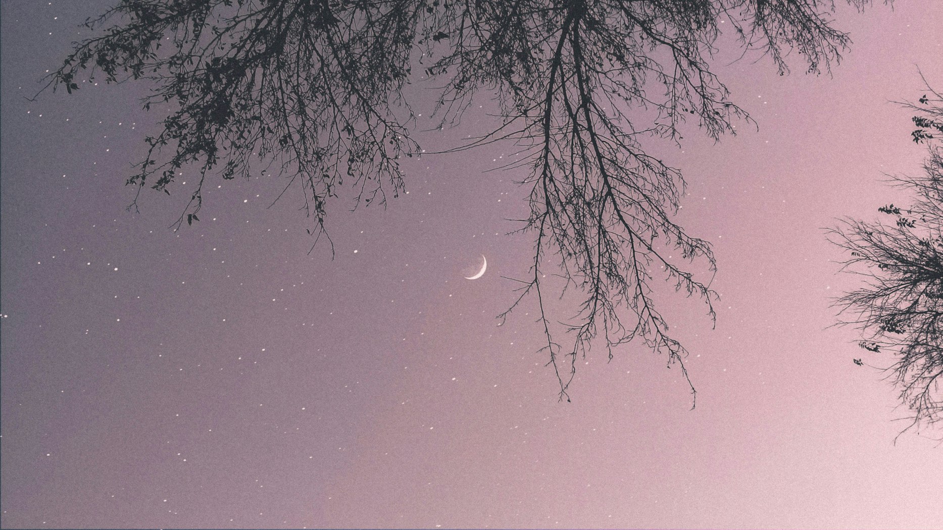Praise God for Boring Days: What Agony Has Taught Me | Desiring God