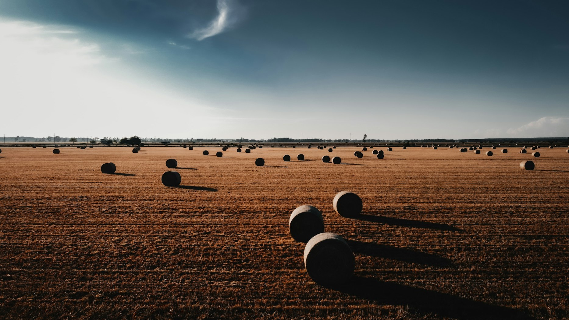 Reformed Theology in Full Harvest | Desiring God