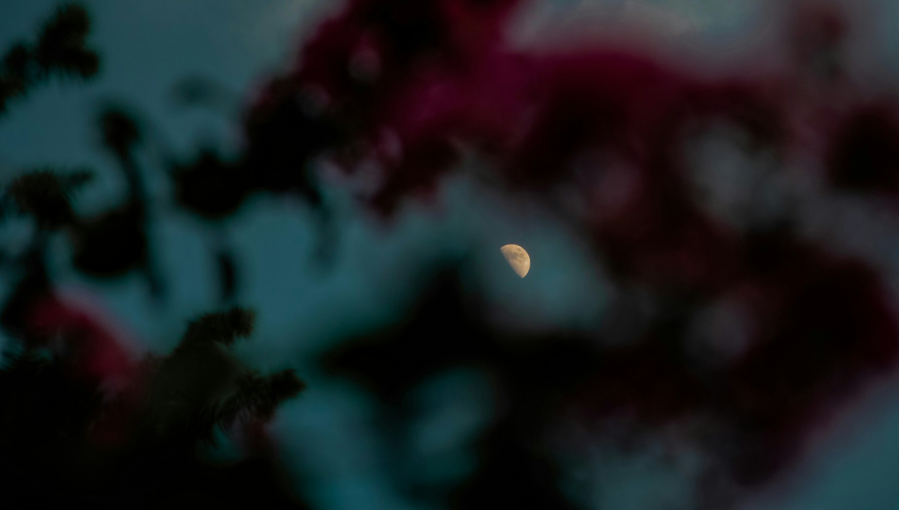 Seven Prayers for Those You Love | Desiring God