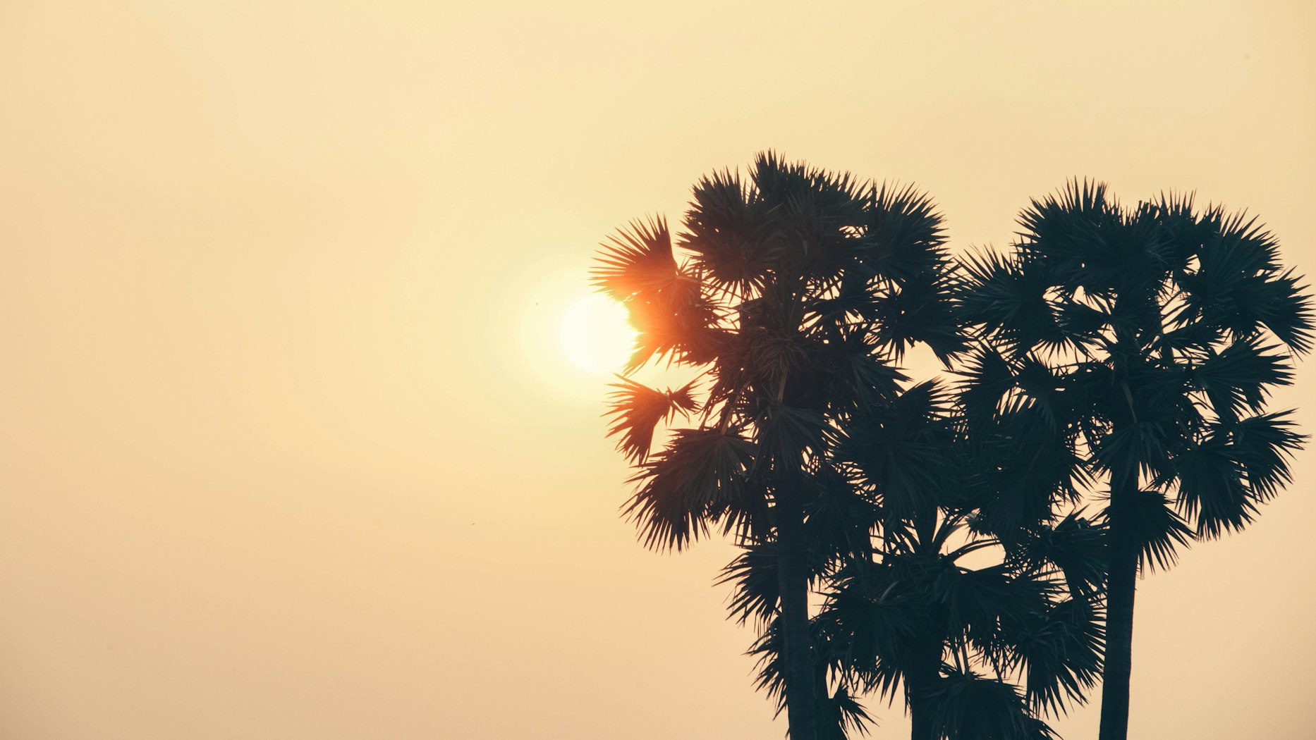 Seven Simple Tips to Refresh Your Prayer Life | Desiring God