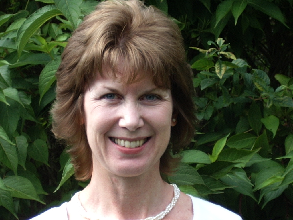 Young Love in a Cruel Land: The Wife Who Sailed with Adoniram Judson ...