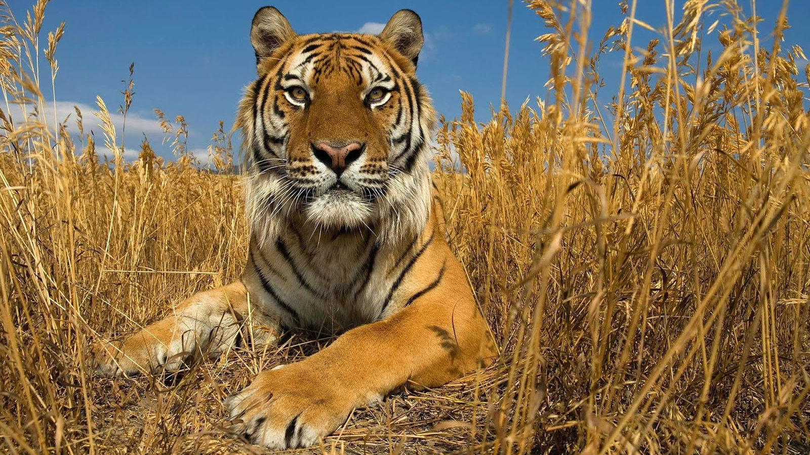 Stop Apologizing for God | Desiring God