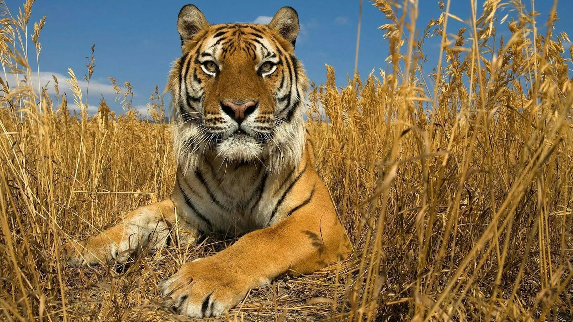 Stop Apologizing for God: An Interview with Drew Dyck | Desiring God