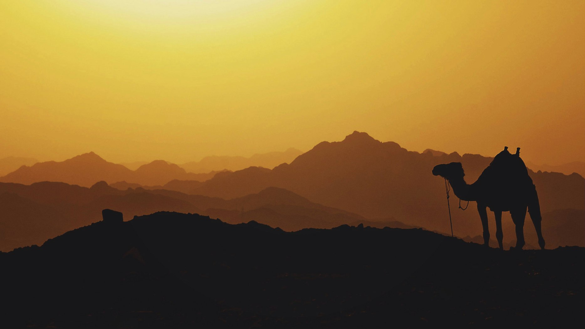 Ten Gospel Verses to Keep Warm | Desiring God