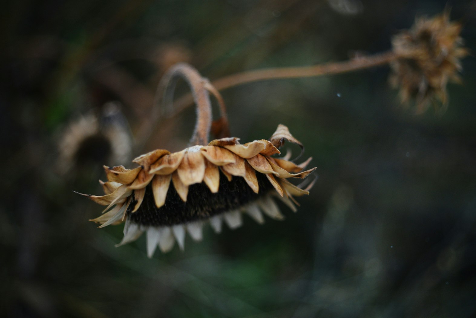 The Apostasy of Impatience | Desiring God