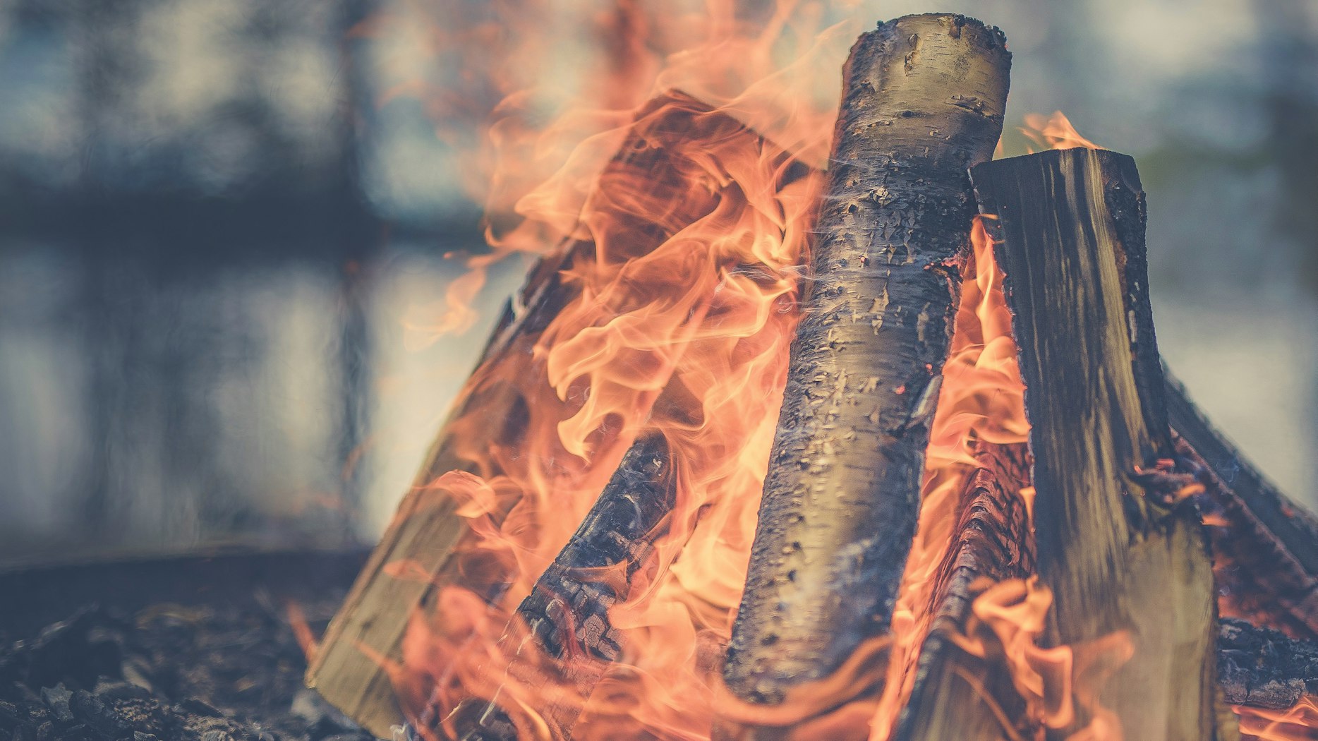 The Bible: Kindling for Christian Hedonism | Desiring God