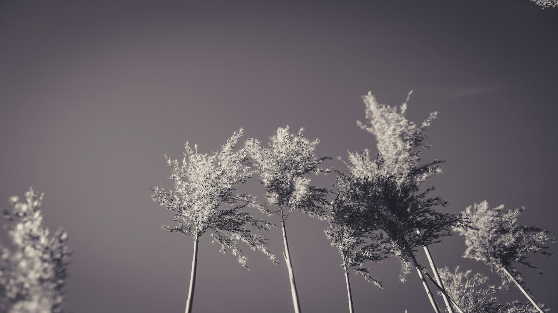 The Breath Behind Our Prayers | Desiring God
