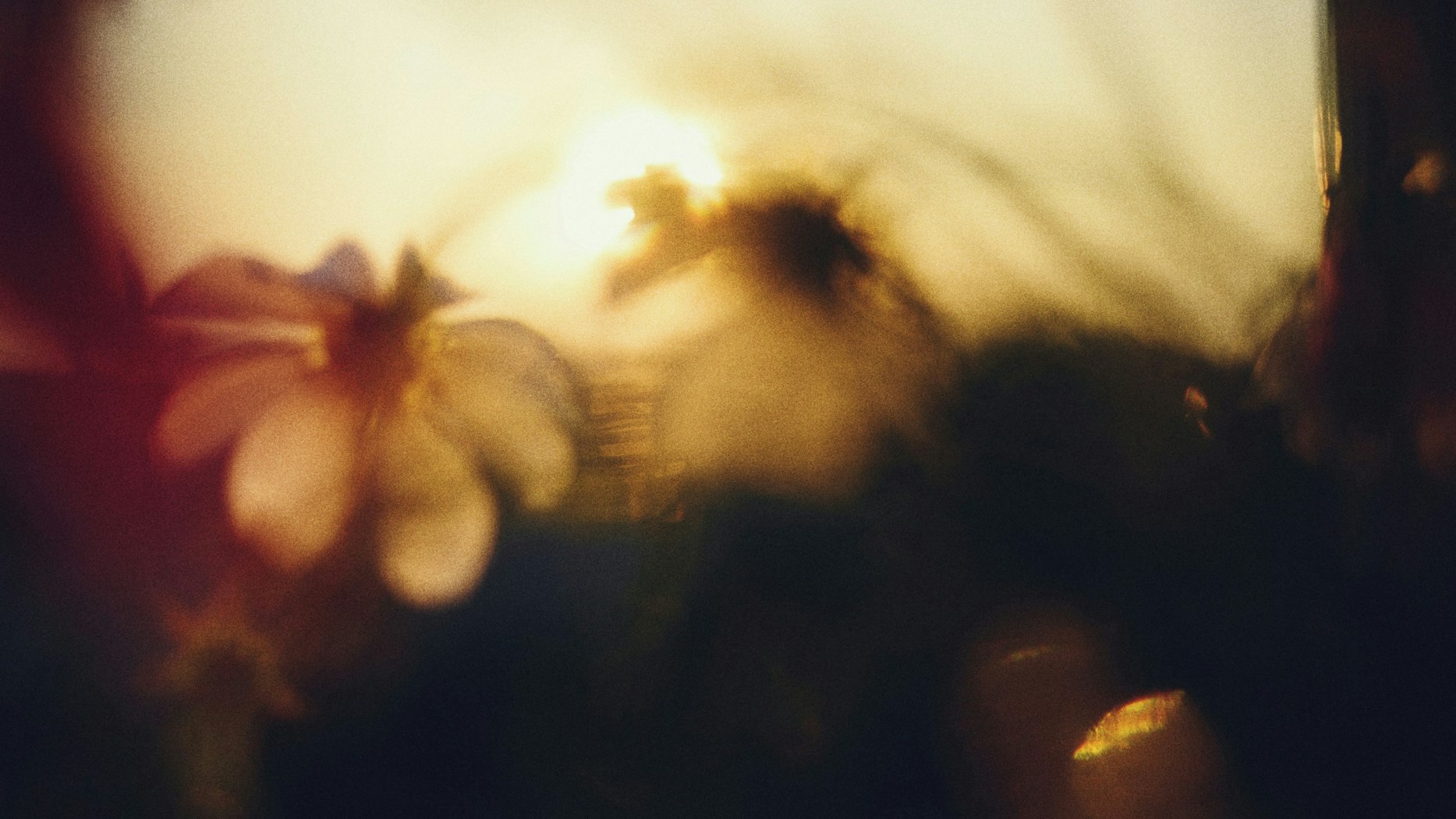 The God Who Breaks Us with Kindness | Desiring God