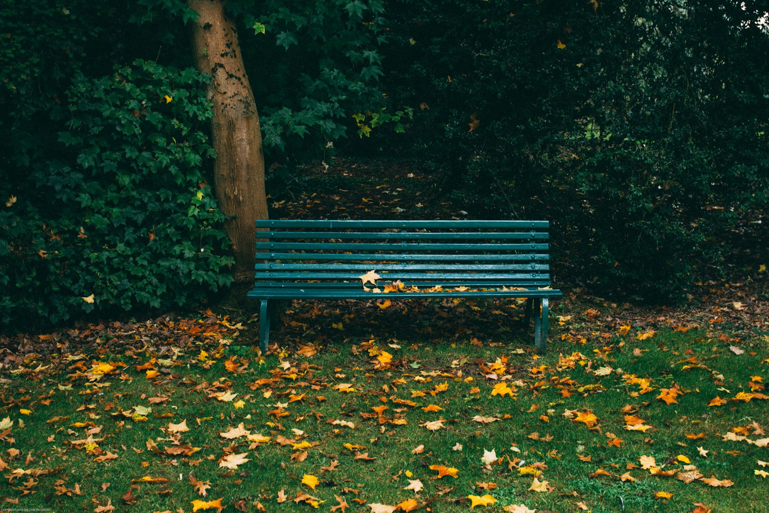 The Indispensable Lives of Ordinary Christians | Desiring God