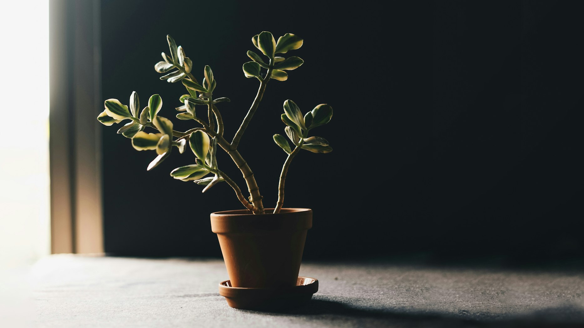 The Marvelous Mundane: Embracing the Slow Work of God | Desiring God