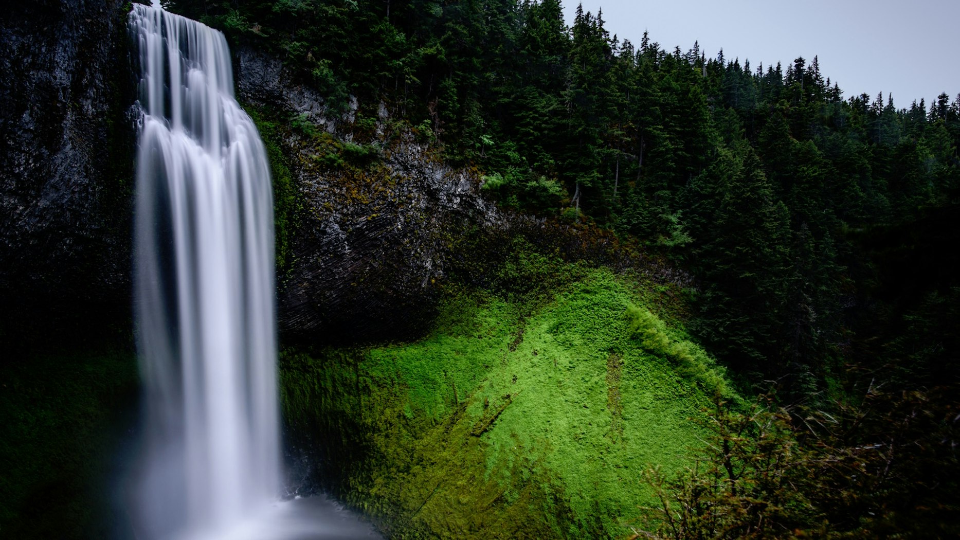 The Remedy for Pride | Desiring God