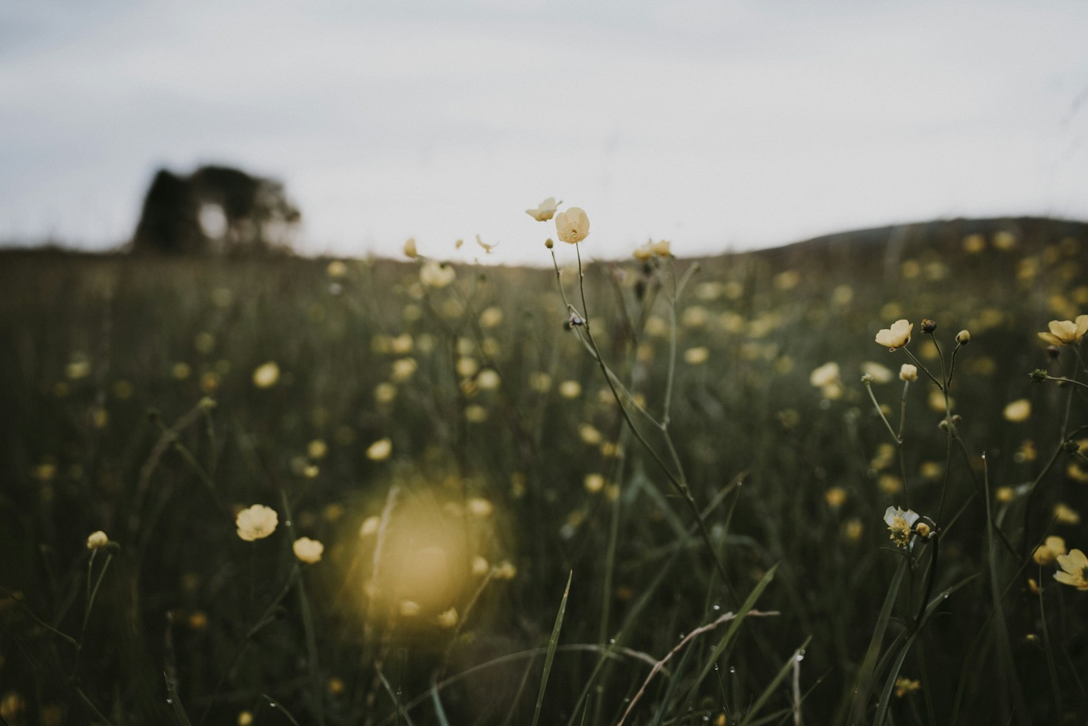 The Rest Beyond Our Reach: Finding Refreshment in a Burnout Culture ...