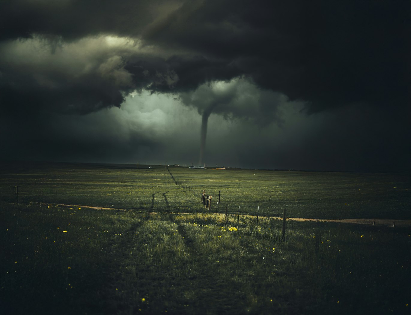 The Sky Is Falling: Noah, Chicken Little, and the Return of Christ ...