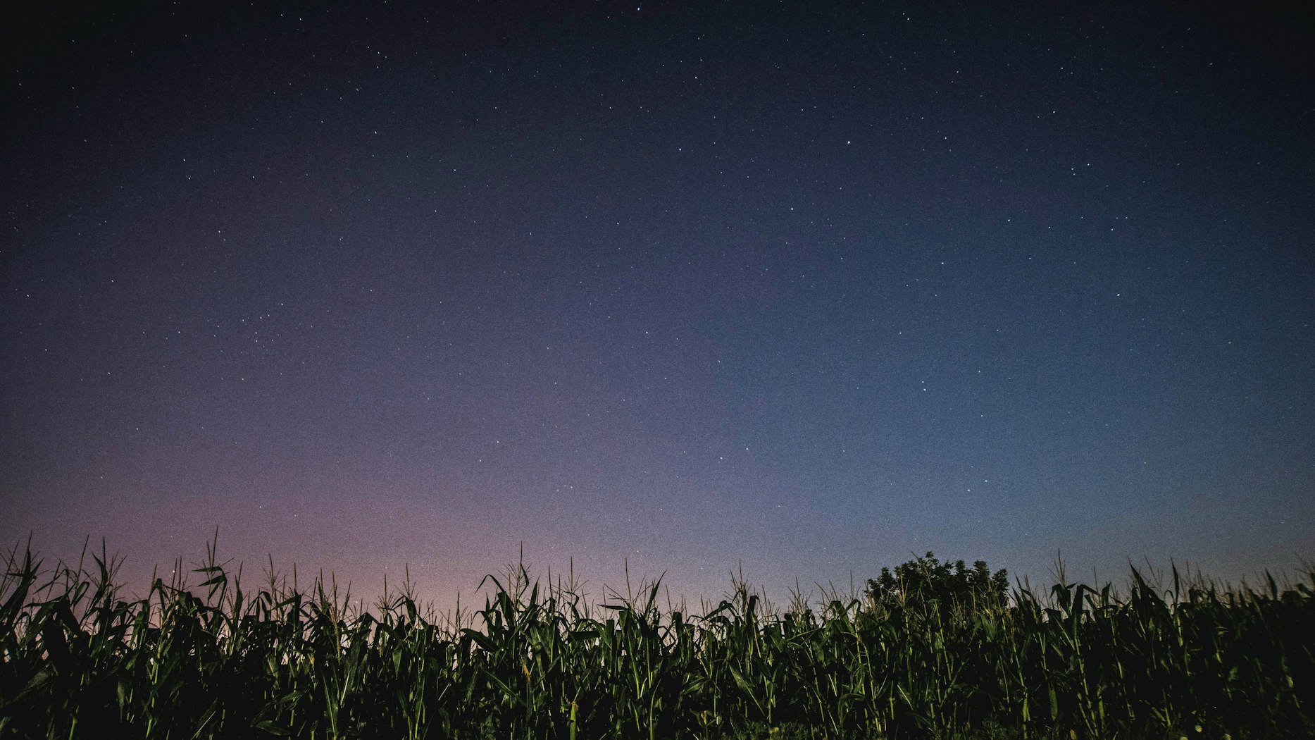 The Strange and Wonderful Miracle of Feeling Loved by God | Desiring God