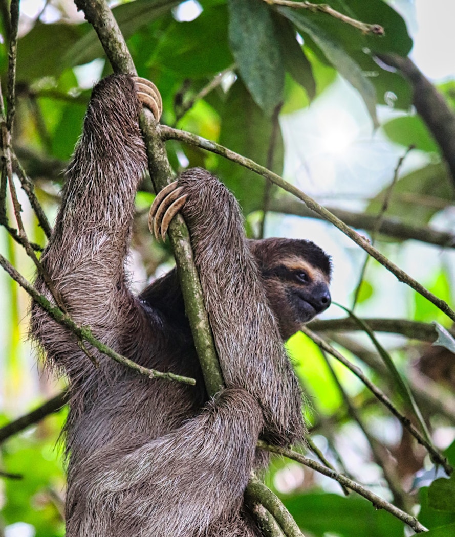 The Subtle Way to Waste Your Life: Confessions of a Sophisticated Sloth ...