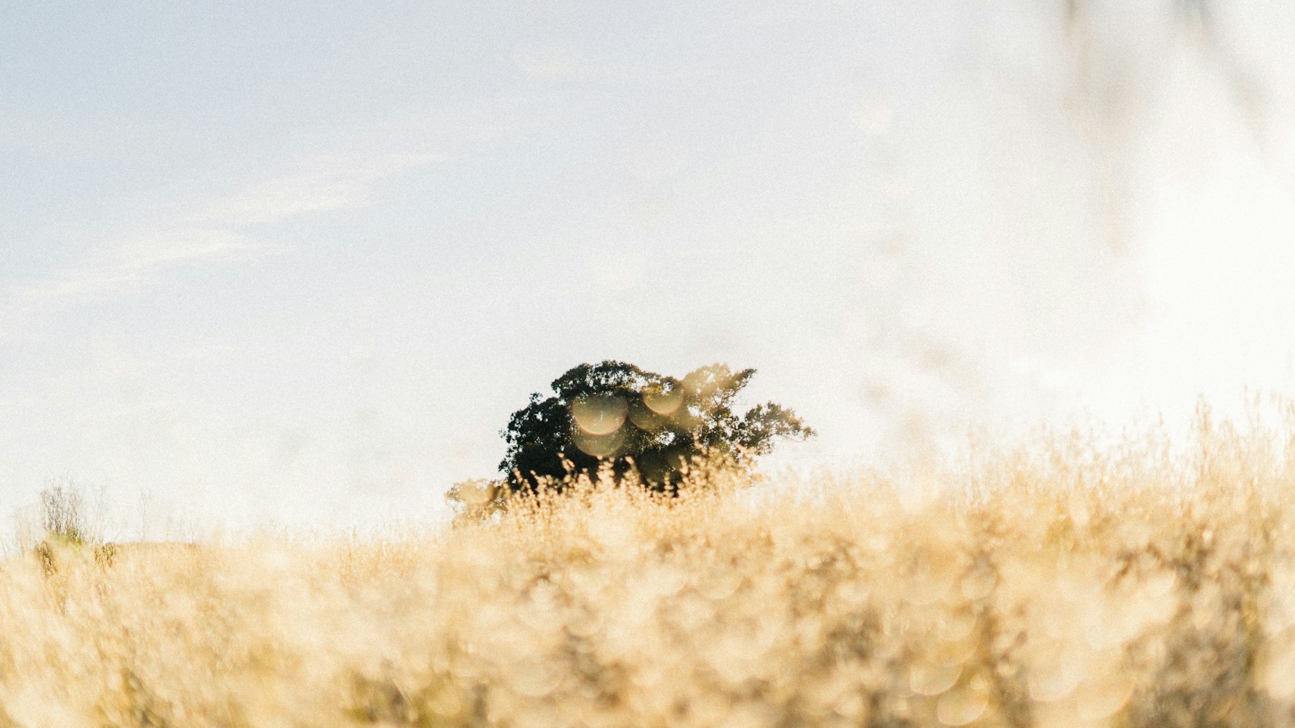 The Very First Prayer: Why Man Began to Call on God | Desiring God