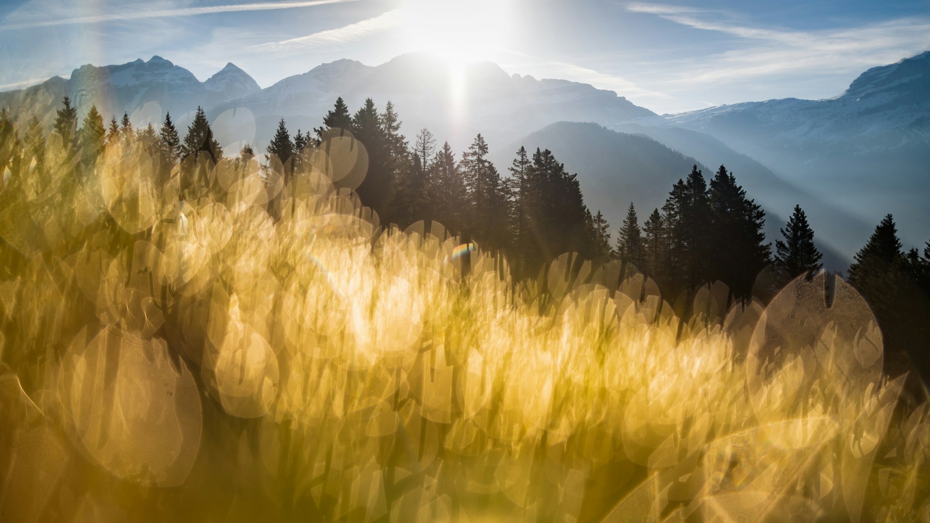 To Be God Is to Be Happy: Enjoying Divine Blessedness | Desiring God