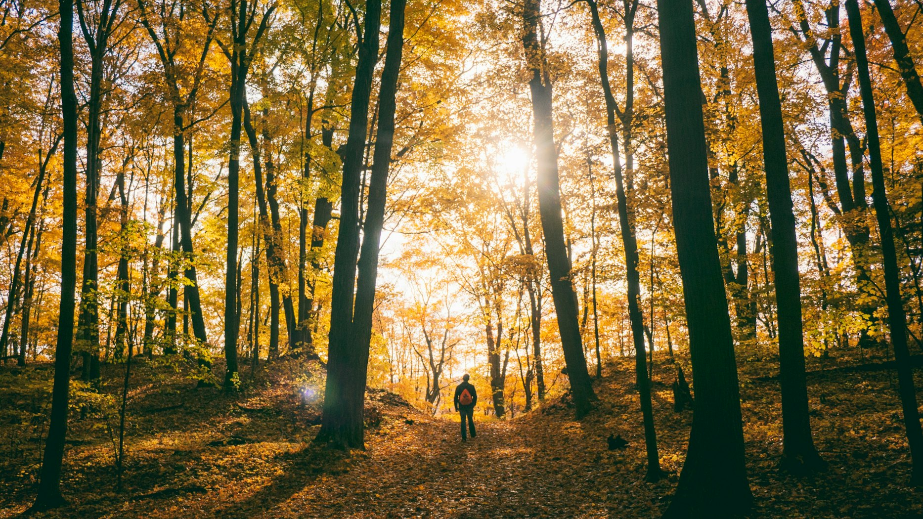 To Live Is Christ — What Does That Mean? | Desiring God