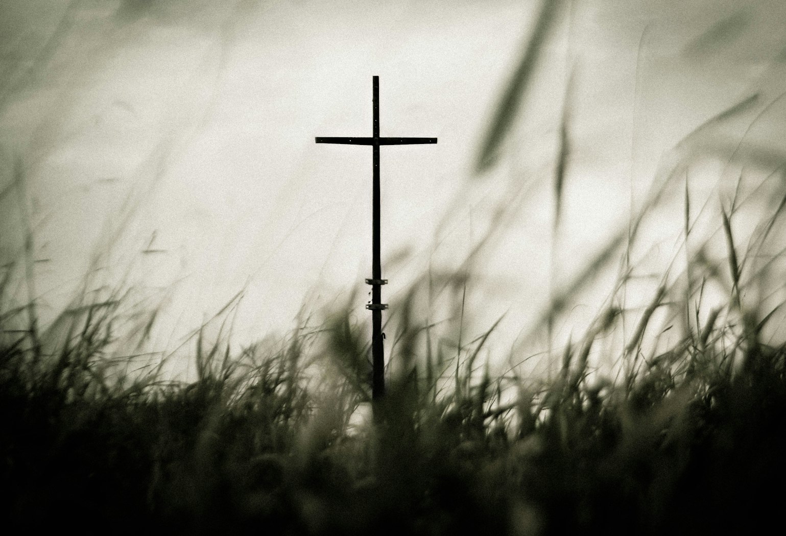Was Jesus Confused by the Cross? | Desiring God