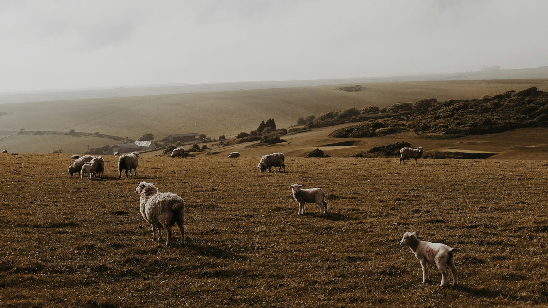 Well Pleased with Weakness | Desiring God