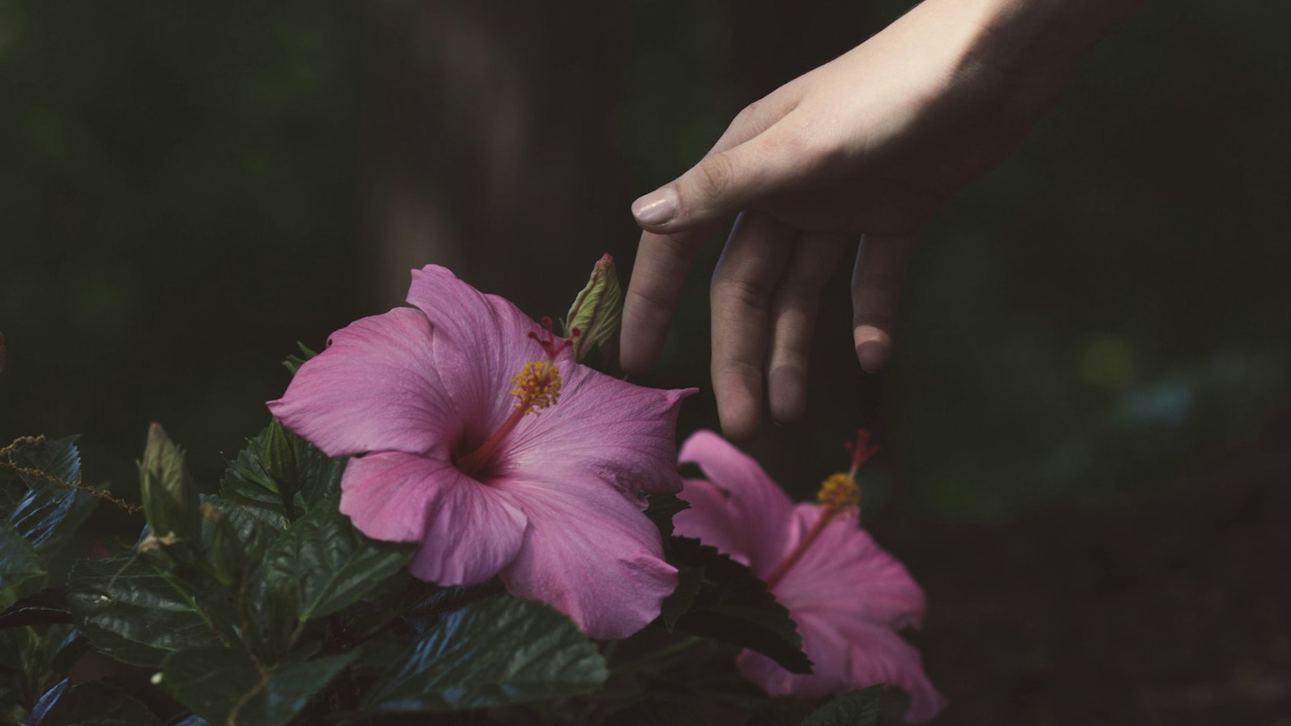 What Do We Say to Grieving People? | Desiring God